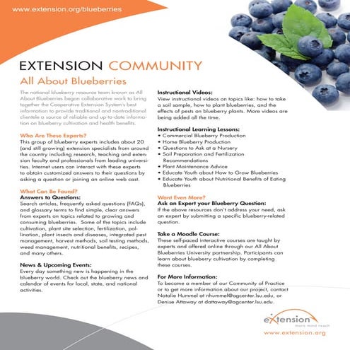 Blueberry_Fact_Sheet | PDF
