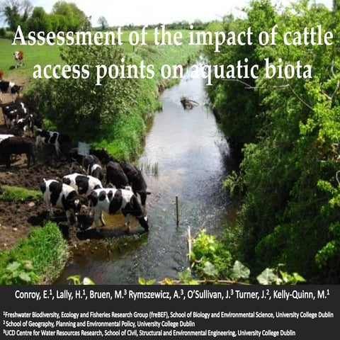 7. Rapid Assessment and Small Stream Impact Score - Bryan Kennedy, EPA ...