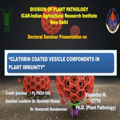 Clathrin coated vesicle components in plant immunity | PPTX