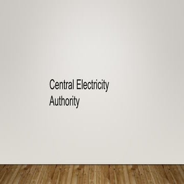 CEA Safety regulations 2023.pdf