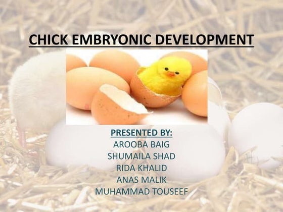 Development of chick embryo- structure of egg,cleavages,fate map and ...