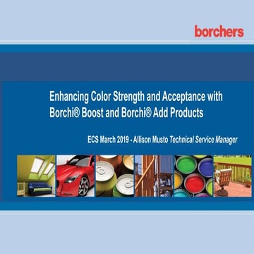 Enhancing Color Strength and Acceptance with Borchi® Boost and Borchi ...