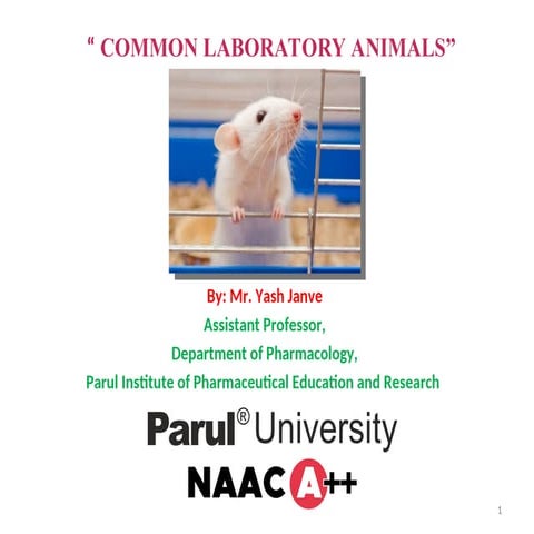 Handling of laboratory animal | PPTX