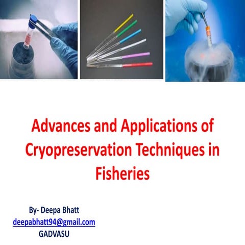 Advances and Applications of Cryopreservation Techniques in Fisheries ...