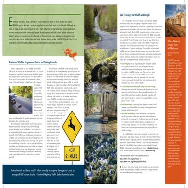 Final criticalpaths brochure | PPT