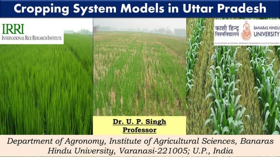 cereal based cropping system in india.pptx