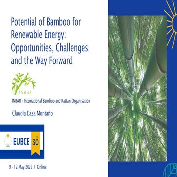 Potential of Bamboo for Renewable Energy: Opportunities, Challenges and ...