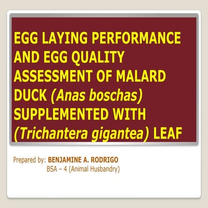 Final Defense ppt.Bnj Powerpoint presentation | PPTX