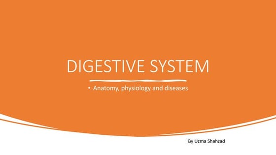 Digestive System Notes | PPT | Dental Health | Diseases and Conditions
