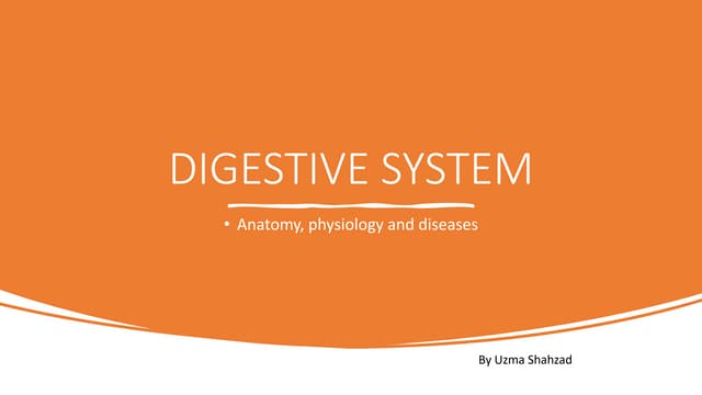 Digestive system - CLASS V | PPTX | Biological Sciences | Science
