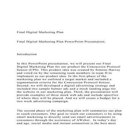 Final Digital Marketing PlanFinal Digital Marketing .docx