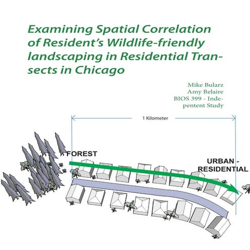 LiDAR Data Processing and Classification | PDF
