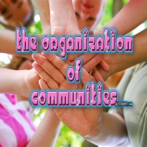 the organization of communities | PPTX