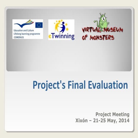 Final evaluation VMM | PPS | Business | Business and Finance