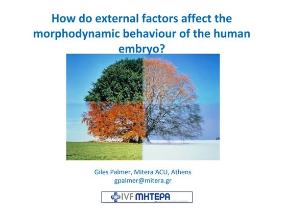 Autophagy inhibition of immature oocytes during vitrification-warming ...