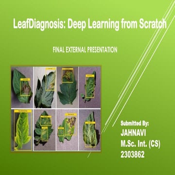 Detection of plant diseases | PPT