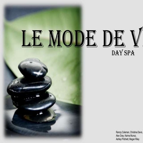 Evoe Spring Spa A positioning Dilemma..pptx
