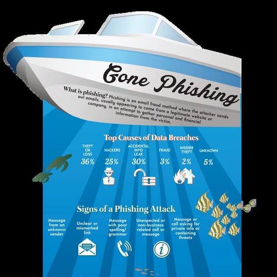 Appsian remote access_infographic | PDF