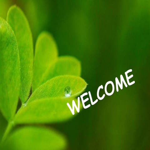 Final Gokul Seminar Pptx