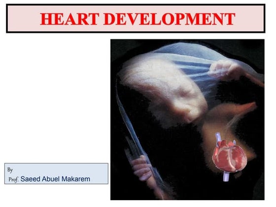 Development of heart and formation of heart.pptx