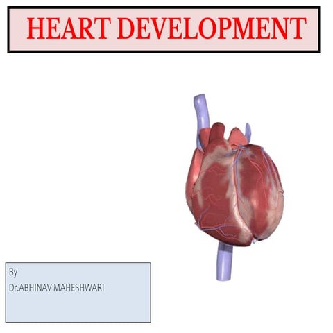 development of heart.pptx
