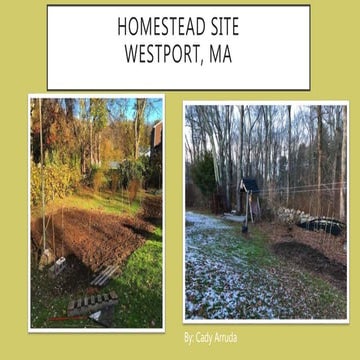 Final Homestead Plan | PPT