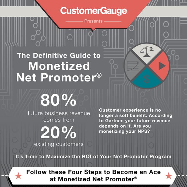 The Definitive Guide to Monetized Net Promoter | PDF