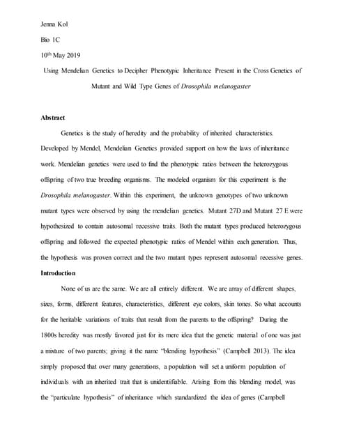 Fruit Fly Genetics lab report | PDF