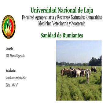 Final jonathan armijos anaplasma vacas | PPTX