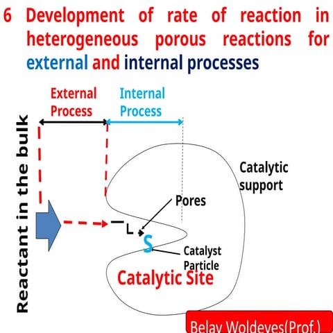 Final Kinematic rxn my presentation .pptx