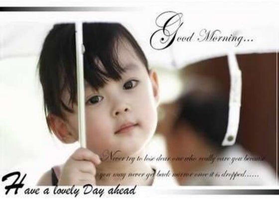 Pedodontic treatment triangle | PPTX | Dental Health | Diseases and ...