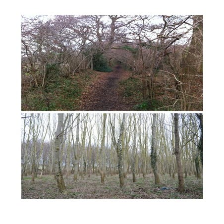 Final location shots | PDF