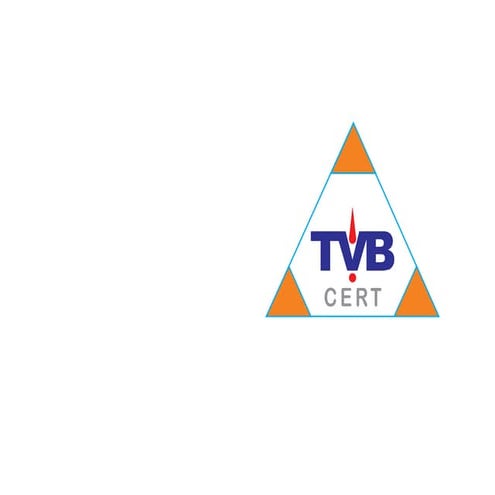TVB LOGO | PDF