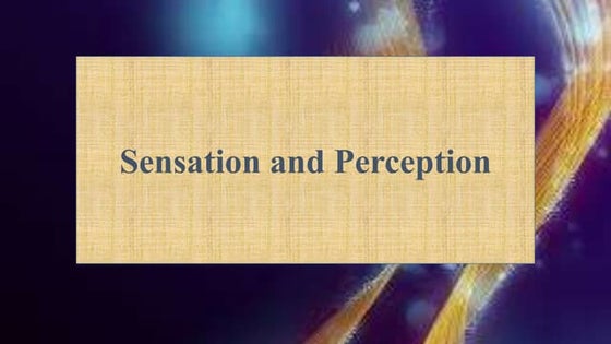 Perception - Organisational Behaviour | PPTX | Technology & Computing
