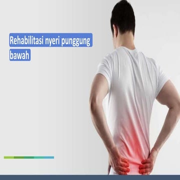 Materi Penyuluhan - Back Pain.pptx