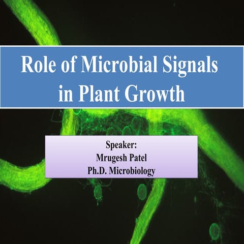 Microbial signals for the soil to plant interaction | PPT