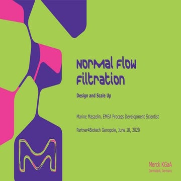Normal Flow Filtration: Design and Scale Up | PDF