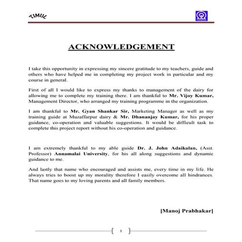 Final mm project | PDF