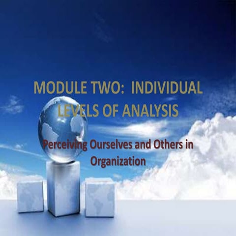 individual level of analysis: perceiving ourselves and others in ...