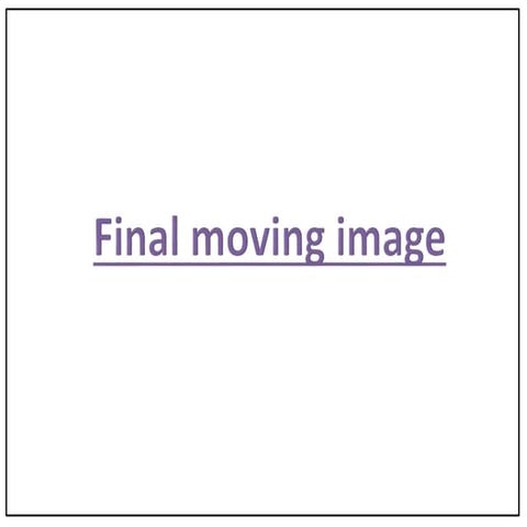 Final moving image | PPTX