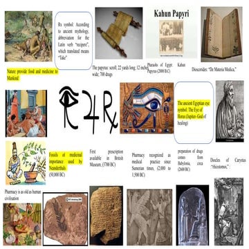 final museubkjbfb fhfbd fdhsbf fdsm (1).pptx