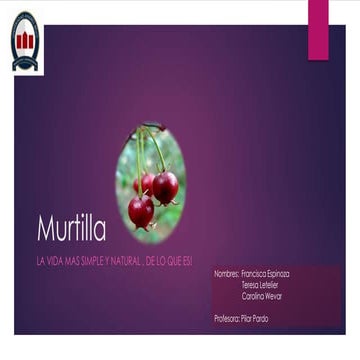 Proyecto Murtilla | PPTX