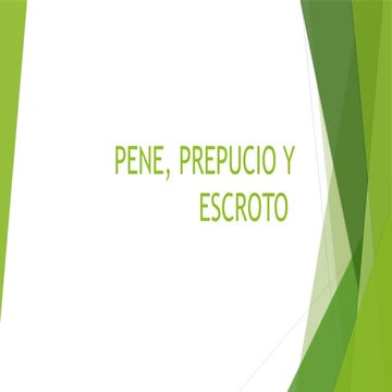 PRESENTACIÓN FINAL PENE PREPUCIO Y ESCROTO.pptx