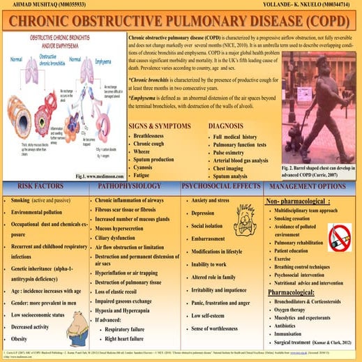 COPD poster presentation | PDF