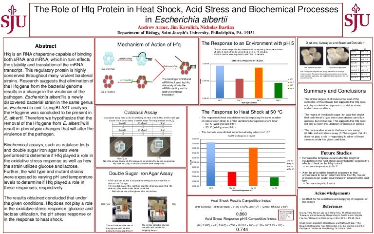 Final poster project microbiology
