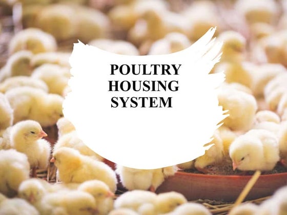 Broiler Poultry Farm Construction Guide | PDF