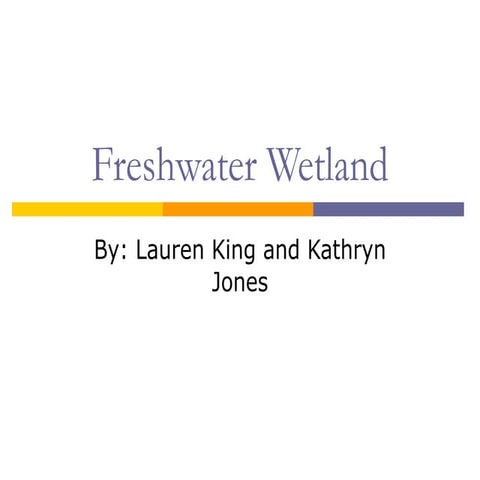 Freshwater Wetlands | PPT