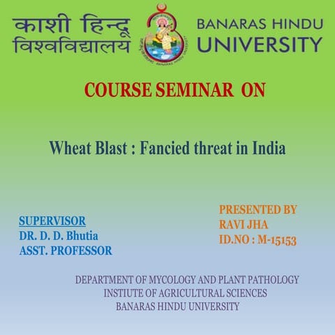 master's seminar | PPT