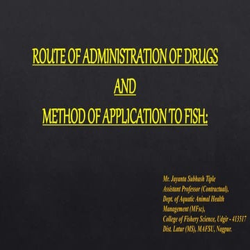 ROUTE OF ADMINISTRATION OF DRUGS AND METHOD OF APPLICATION TO FISH | PPTX