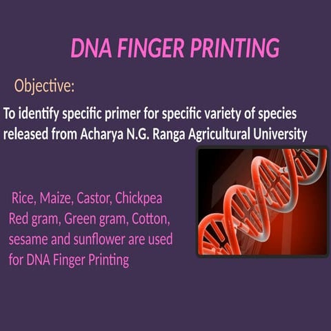 DNA Fingerprinting and varietal identification | PPTX